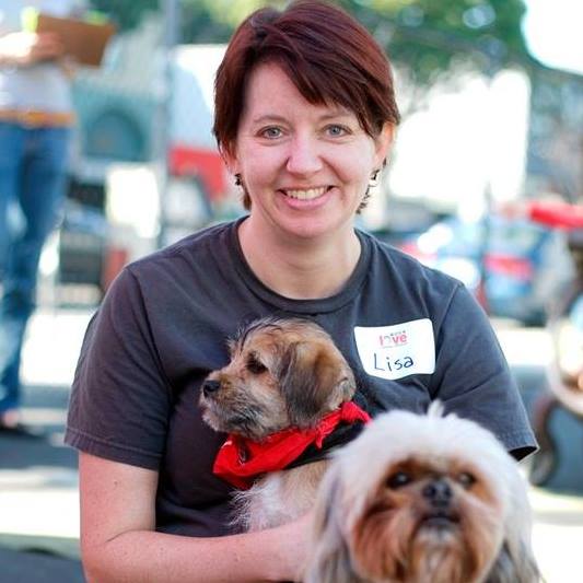 Animal rescue – Lisa Klink